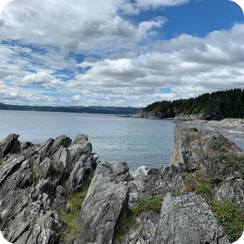 Hiking Package - The Mayflower